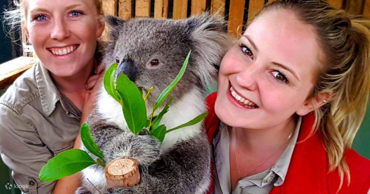 Moonlit Sanctuary Wildlife Conservation Park & Merricks Store One-day Wildlife & Wine Tasting ...